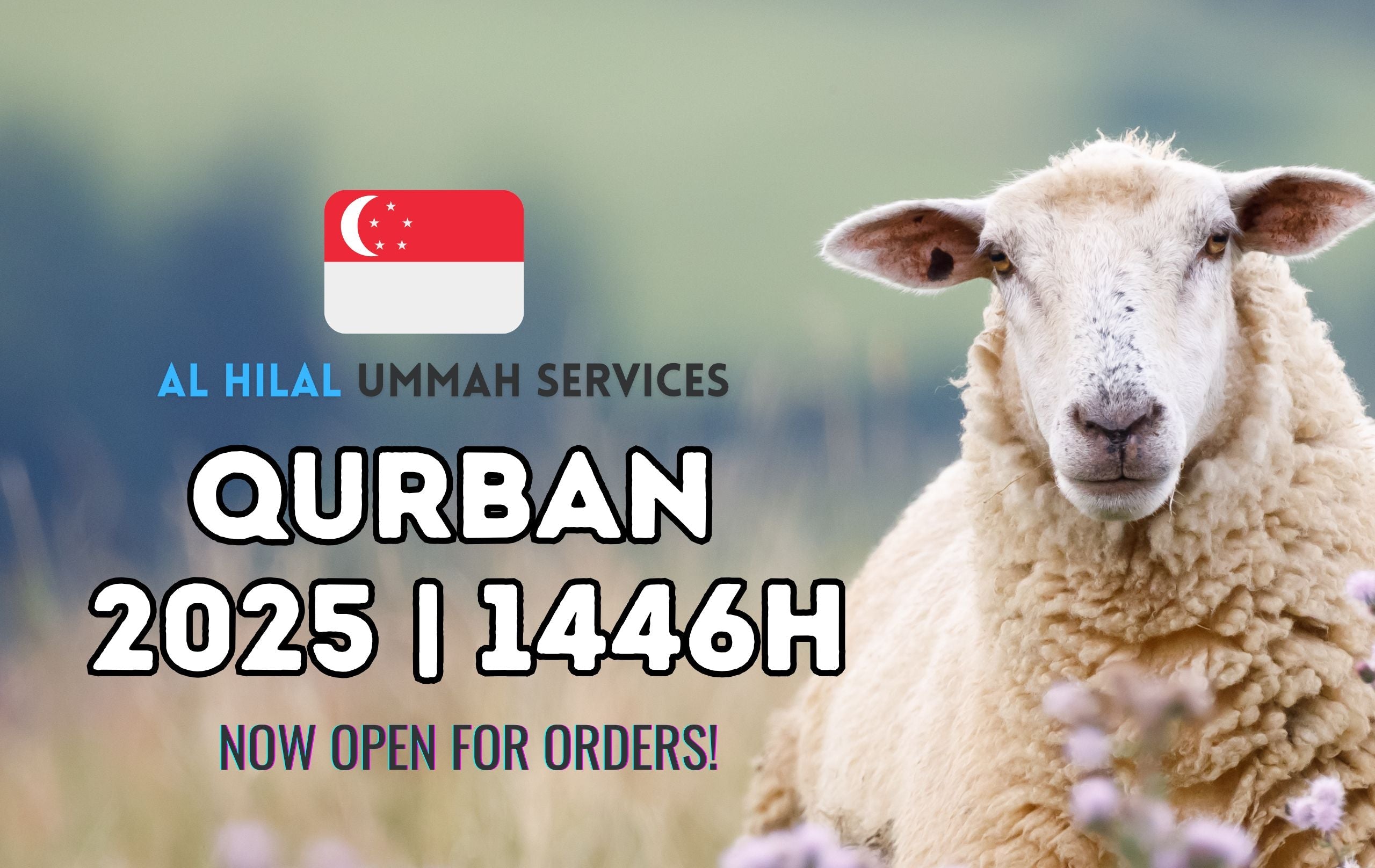 Place your Qurban order through Jamilah Kuek – Al Hilal Ummah Services